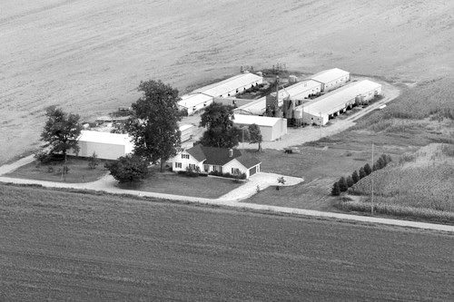 OUR HISTORY – MARTIN FAMILY FARMS